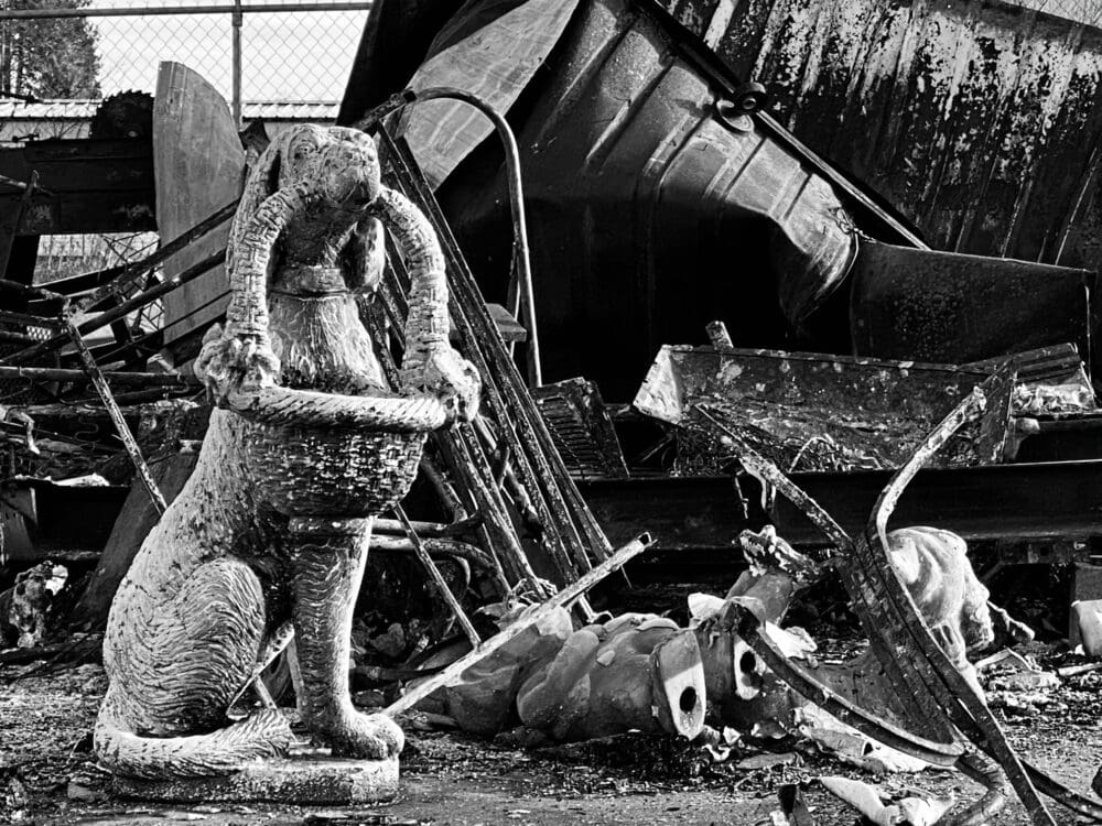 The Almeda Fire: Rogue Valley, Oregon – ZYZZYVA