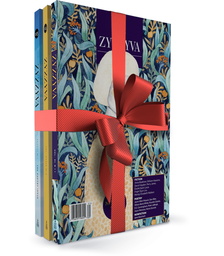 ZYZZYVA 3-Issue Subscription – ZYZZYVA