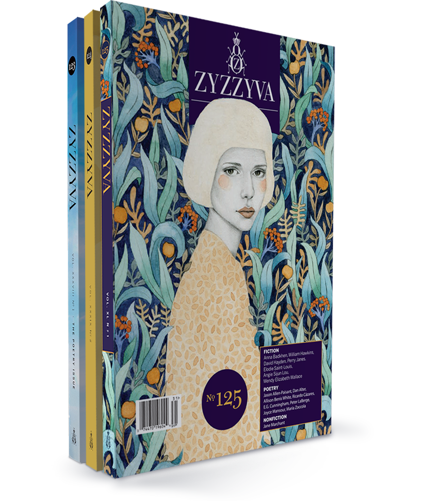 subscribe-bundle-spring-2023 – ZYZZYVA